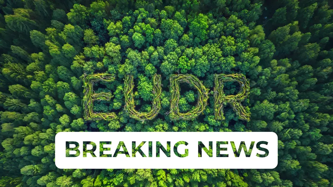 Cập nhật Quy định Chống Phá rừng của EU (EUDR)